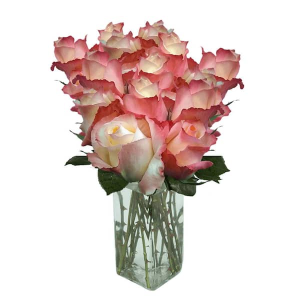 White Roses With Pink Tips