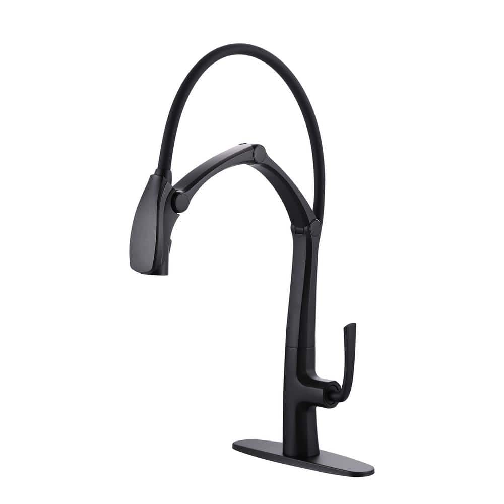 AVITAS Single-Handle Pull-Out Sprayer Kitchen Faucet with with Magnetic ...