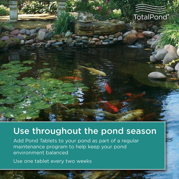 Fish Pond Cleaner