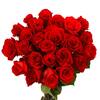 Globalrose Fresh Red Roses (75 Extra Long Stems) forever-young-xlong-75 ...