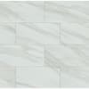 MSI Take Home Tile Sample-Kolasus 6 in. x 6 in. Polished Porcelain ...