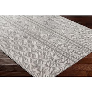 Runner - 3 X 7 - Outdoor Rugs - Rugs - The Home Depot