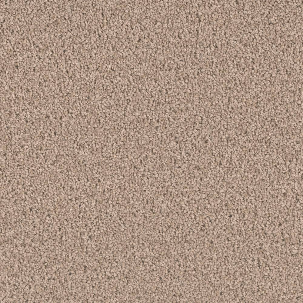 Home Decorators Collection 8 in. x 8 in. Texture Carpet Sample ...