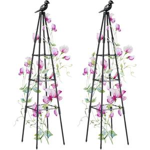 Cubilan 2 Pack Round Metal Trellis with Bird, Small Indoor Garden ...