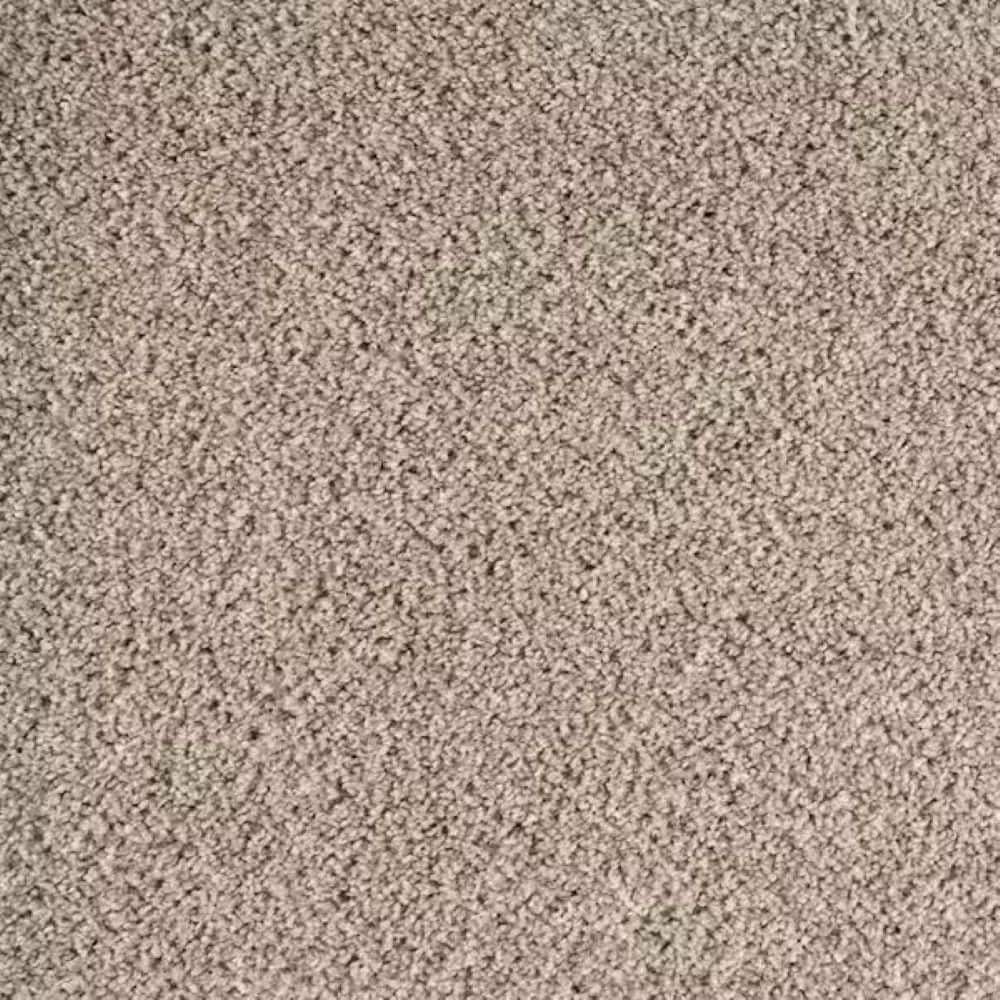 Mohawk 8 in. x 8 in. Texture Carpet Sample-Rockaway I-Color Foggy ...