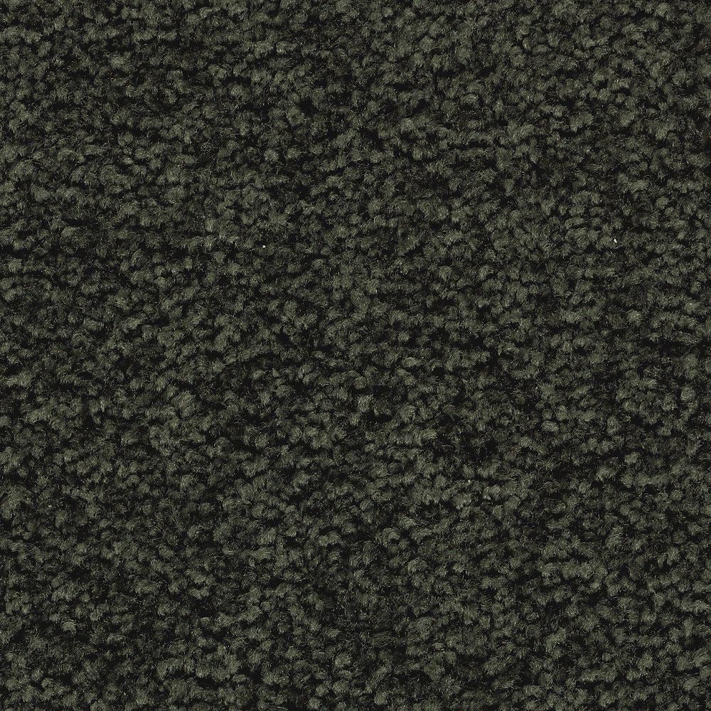 Lifeproof 8 in. x 8 in. Texture Carpet Sample - Unblemished II -Color ...