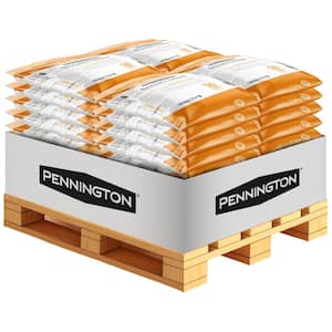 Pennington Kentucky 31 Uncoated Tall Fescue 50 lbs. 20,000 sq. ft ...