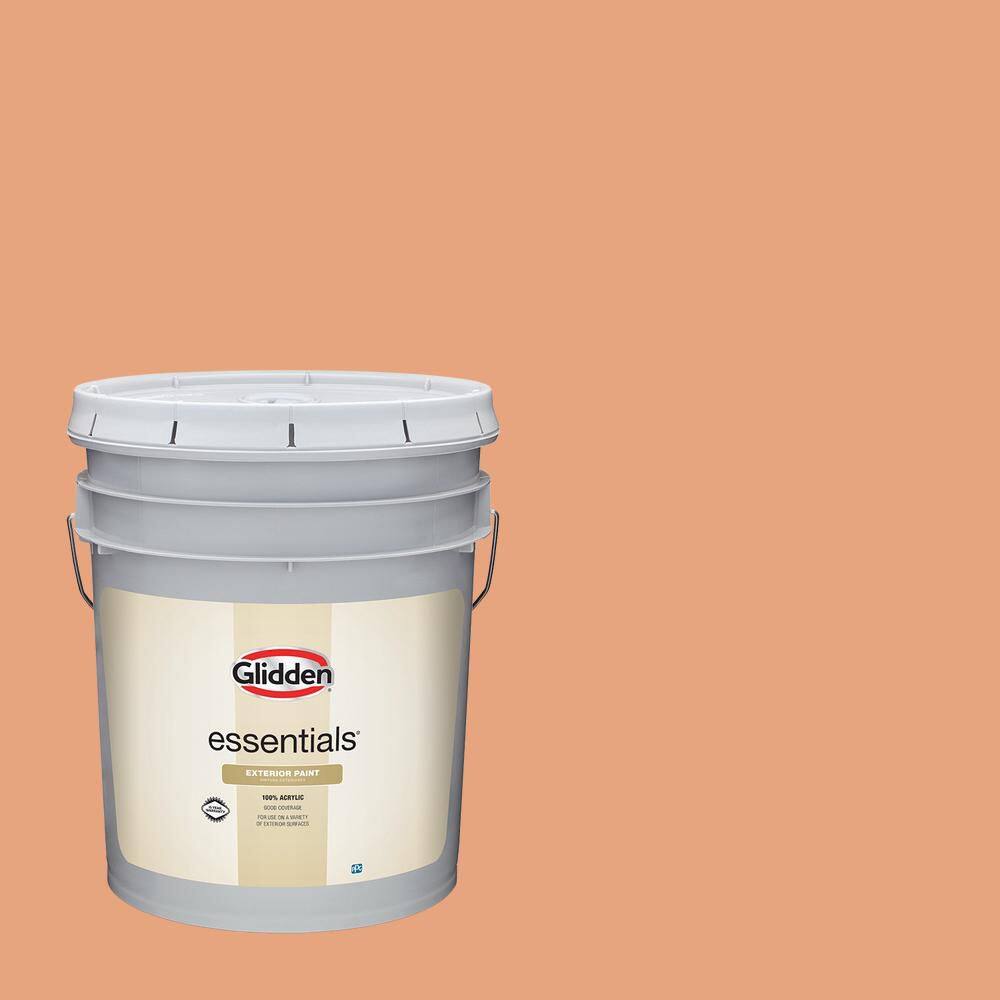 Glidden Essentials 5 gal. PPG1200-4 Orange Clay Satin Exterior Paint ...