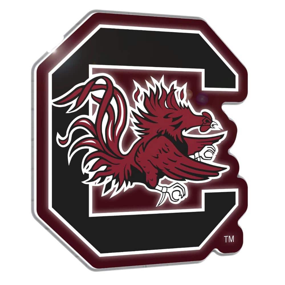 Evergreen University of South Carolina Team Logo Shaped Multicolor 23 ...