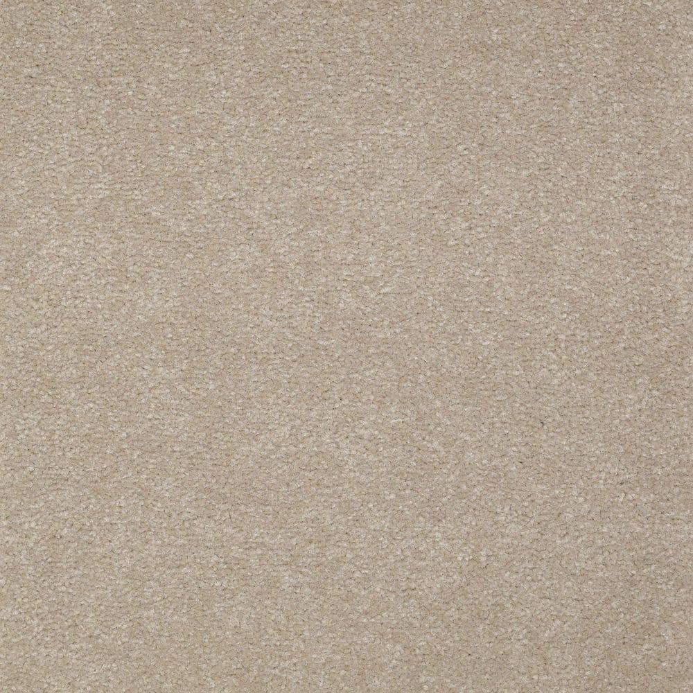 TrafficMaster Overdrive II - Color Tender Taupe Texture 12 ft. Carpet ...