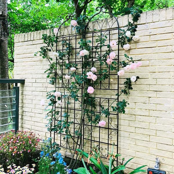 Wide Metal Garden Trellis Akoris Garden Obelisk Large For Outdoor