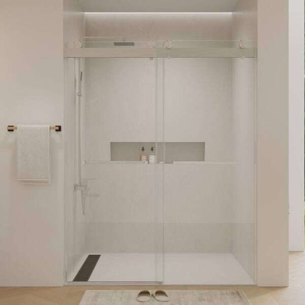 Aionor 60 in. W x 76 in. H Double Sliding Frameless Shower Door with 3/ ...