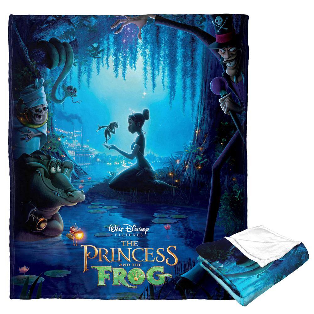 THE NORTHWEST GROUP Disney Princesses Princess Frog Poster Silk Touch ...