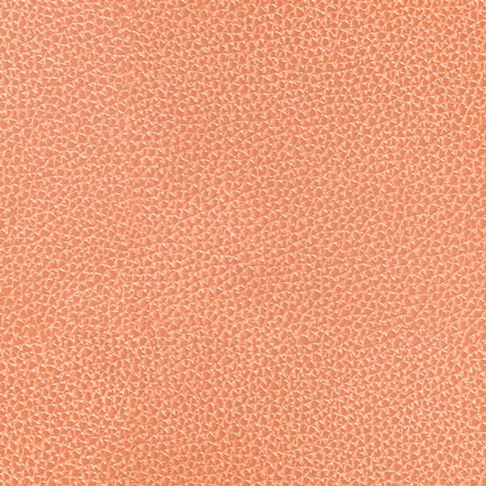 FROM PLAIN TO BEAUTIFUL IN HOURS Take Home Sample 3 in. x 5 in ...