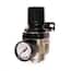 Primefit 1/4 in. NPT Mini Air Regulator with Steel-Protected Gauge ...