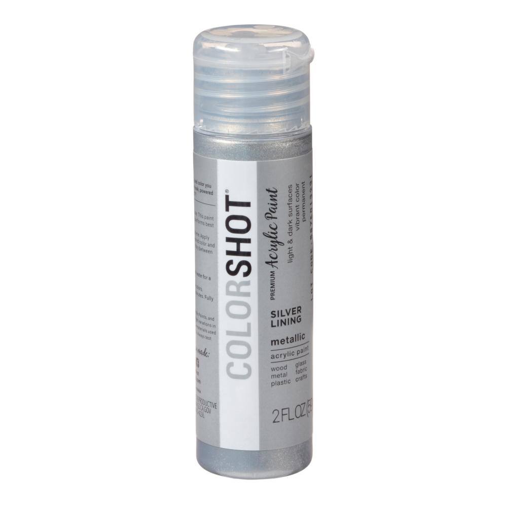 COLORSHOT 2 oz. Metallic Silver Lining Silver Craft Paint 43826