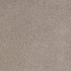 Lifeproof with Petproof Technology 8 in. x 8 in. Texture Carpet Sample ...