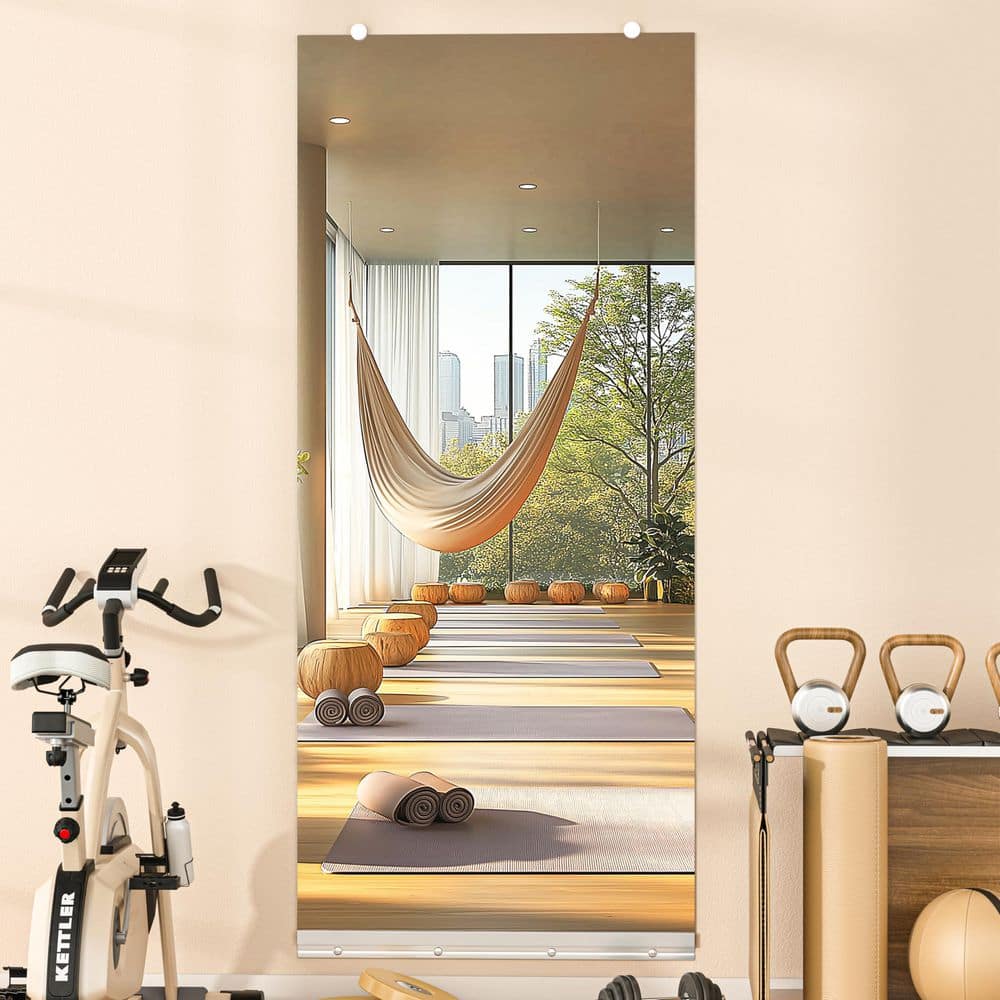 Vosuja 28 in. W x 63 in. H Rectangle Frameless Wall-Mounted HD Home Gym ...