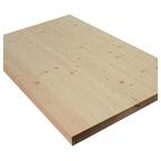 Allwood 1 in. x 24 in. x 36 in. Pine Project Panel with Routed Edges on ...