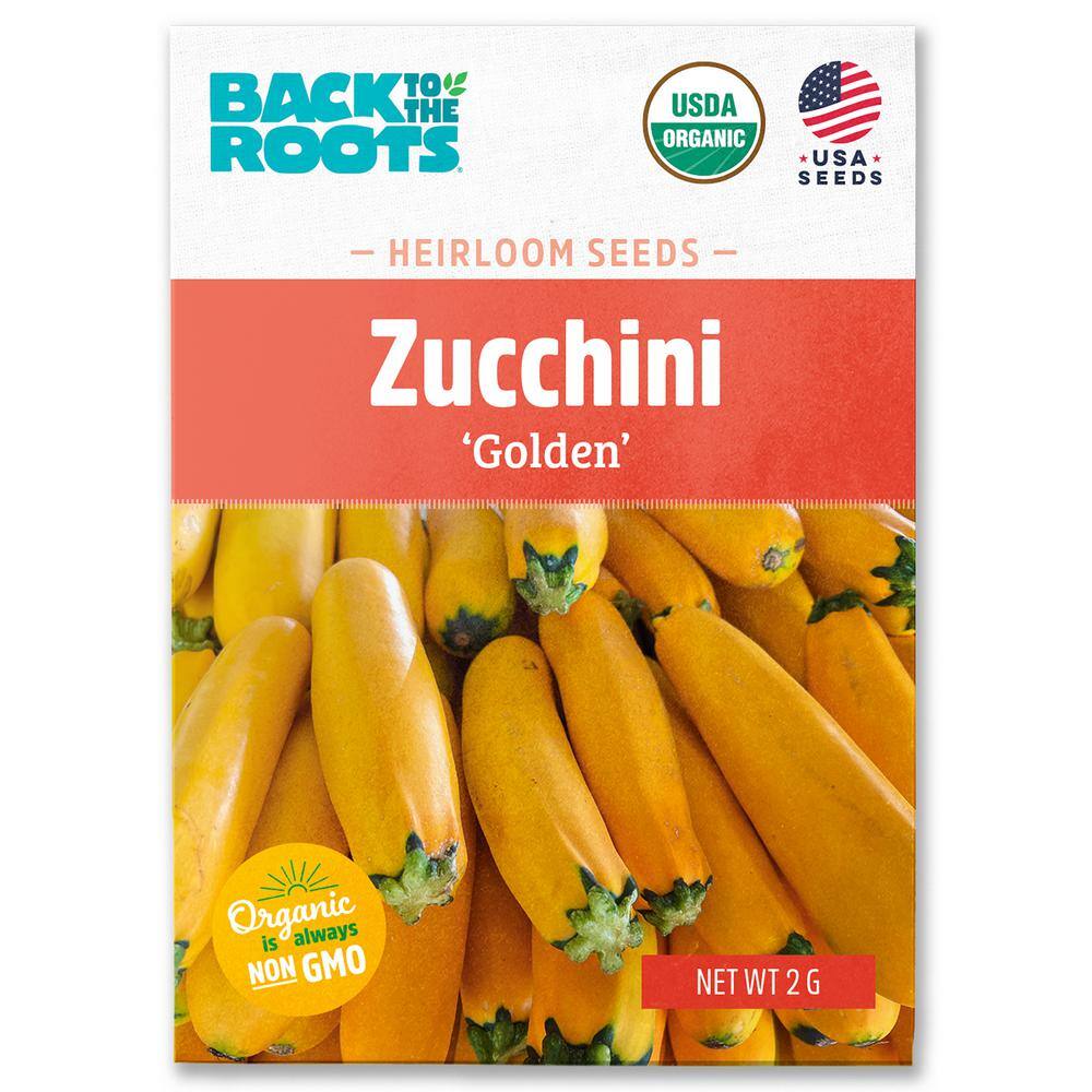 Back to the Roots Organic Summer Squash 'Golden Zucchini' Heirloom ...