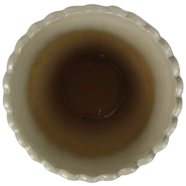 Trendspot 12 in. W x 8.8 in. H Fluted Scallop Ceramic Decorative ...