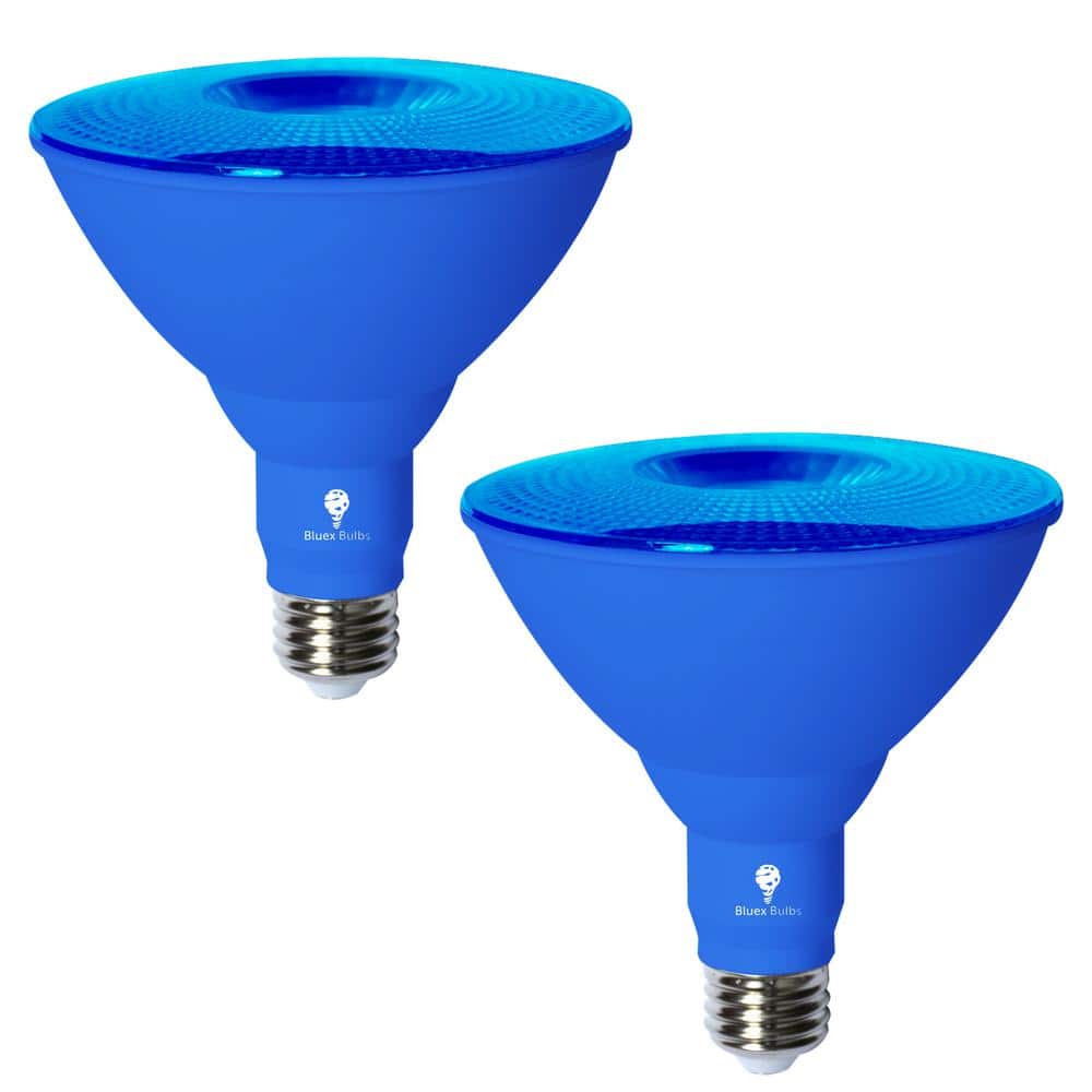 BLUEX BULBS 120-Watt Equivalent PAR38 Decorative LED Light Bulb in Blue ...