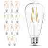 Feit Electric 100-Watt Equivalent ST19 Straight Filament Dusk to Dawn ...