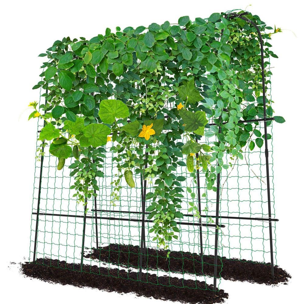 ABORON Tall Garden Arch Trellis Cucumber Trellis for Climbing Plants 71 ...