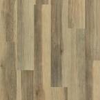 Pergo Defense+ 7.48 in. W Biscuit Oak Antimicrobial-Protected ...
