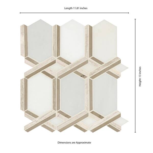 MSI Take Home Tile Sample - Royal Link 4 in. x 4 in. Polished Marble ...