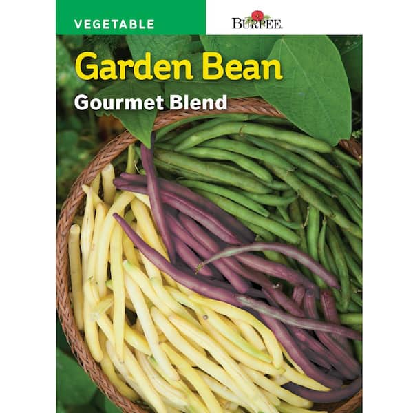Burpee Bean Bush Gourmet Mix II Seed 69008 - The Home Depot