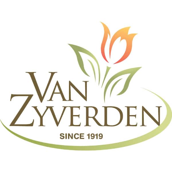 VAN ZYVERDEN HD F23 MW OPP 4 Shelf Bulbs 06182 - The Home Depot