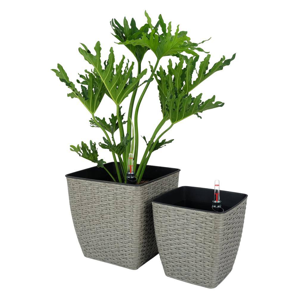 Home Depot Self Watering Planter