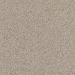 Home Decorators Collection 8 in. x 8 in. Texture Carpet Sample ...