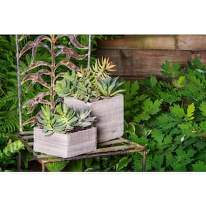 Planter Boxes - Planters - The Home Depot
