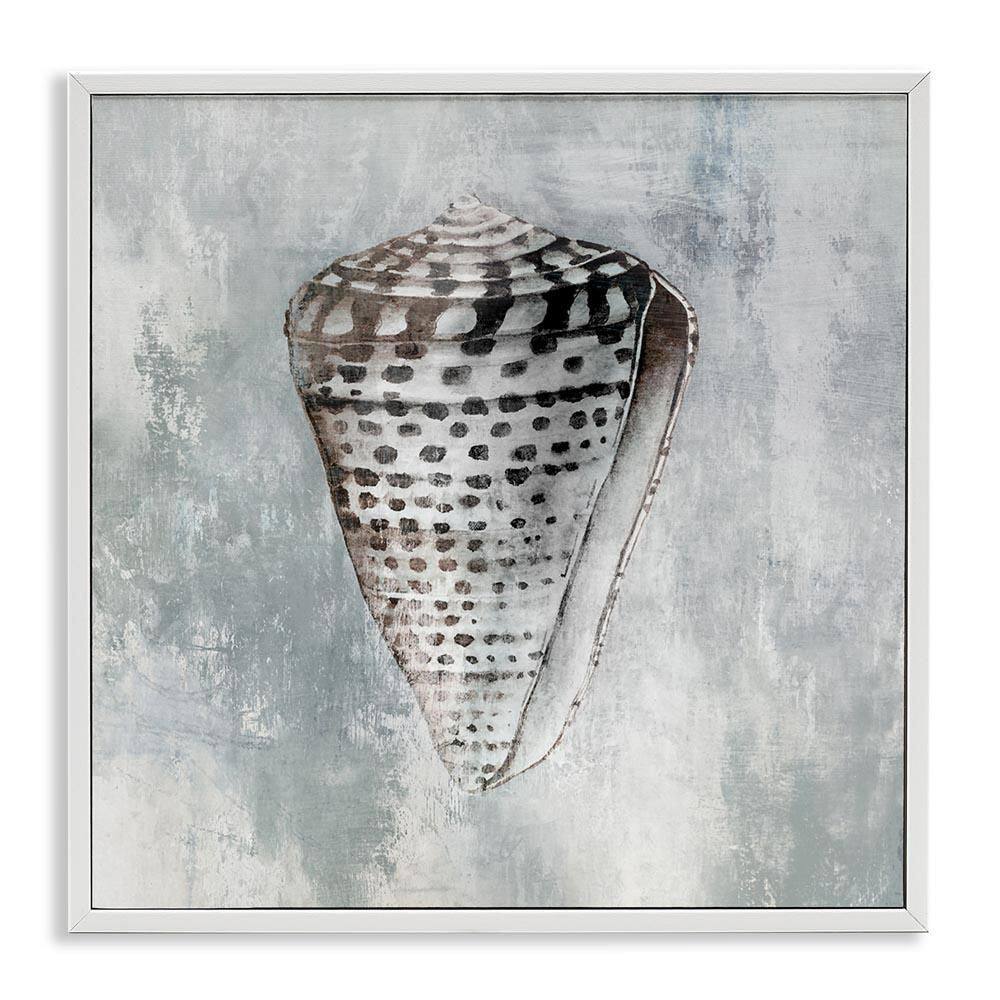 Stupell Industries Organic Cowrie Shell by Eli Jones White Framed ...