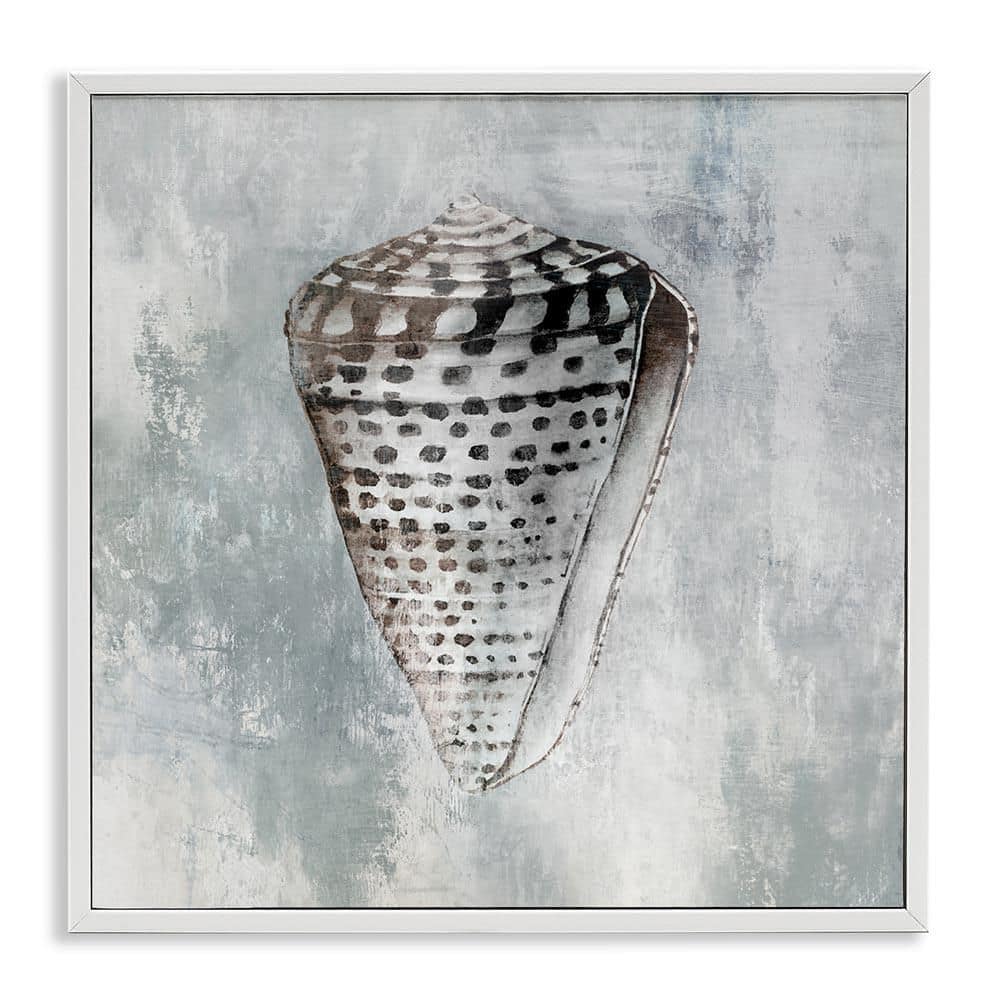 Stupell Industries Organic Cowrie Shell by Eli Jones White Framed Coastal Giclee Art Print 24 in ...