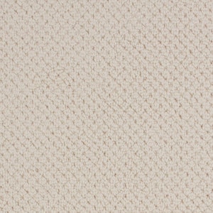 Lifeproof 8 in. x 8 in. Pattern Carpet Sample - Abbotts Gate -Color Ice ...