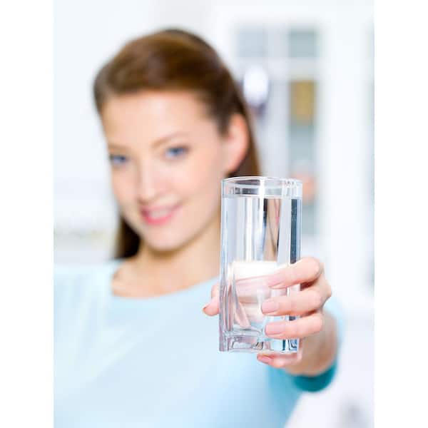 LABTECH H2O OK Drinking Water Analysis Test Kit LT5010-6 - The Home Depot