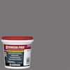 Custom Building Products Fusion Pro #19 Pewter 1 qt. Single Component ...