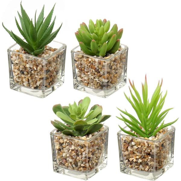 4.13 in. H Green Indoor Succulents Artificial Plant in Clear Glass Pots ...