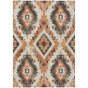 Addison Rugs Chantille Machine Washable Indoor/Outdoor Abstract ACN1878 ...