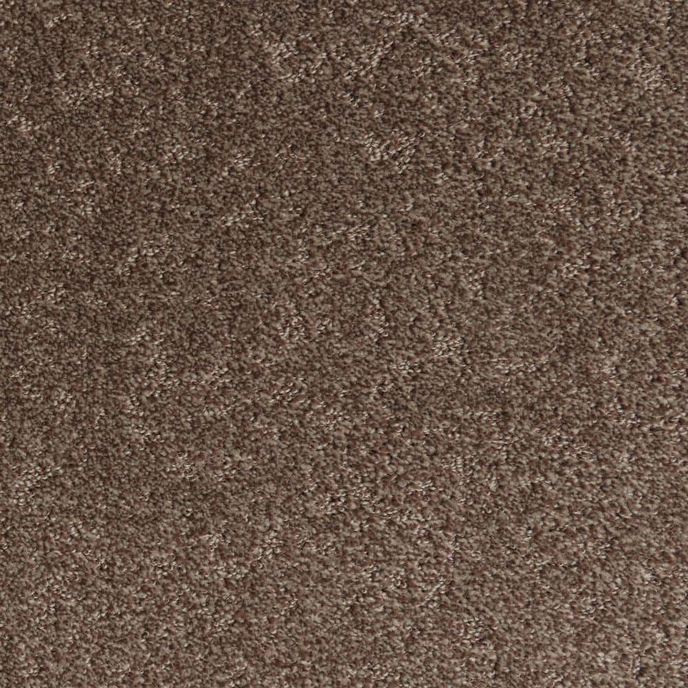 Lifeproof with Petproof Technology 8 in. x 8 in. Pattern Carpet Sample ...