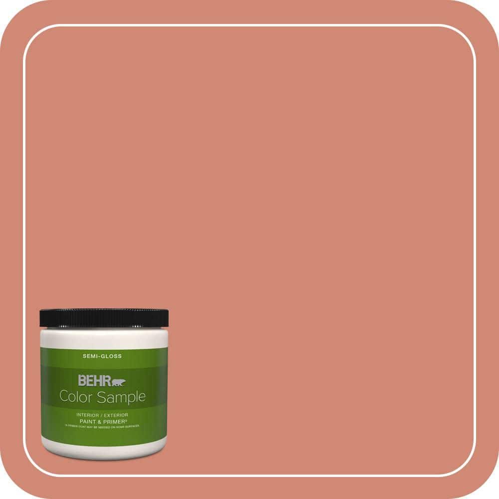 BEHR PREMIUM PLUS 8 oz. Home Decorators Collection #HDC-WR16-02 Rosy ...
