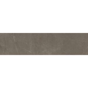 EMSER TILE Sterlina Henna 11.81 in. x 23.62 in. Matte Marble Look ...