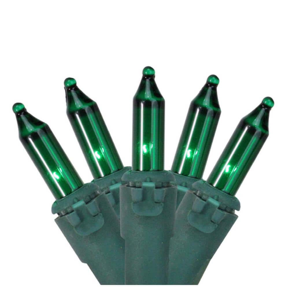 Northlight 4 ft. x 6 ft. Green Mini Net Style Christmas Lights with ...