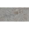MSI Take Home Tile Sample - Romagna Gray 4 in. x 4 in. Polished ...
