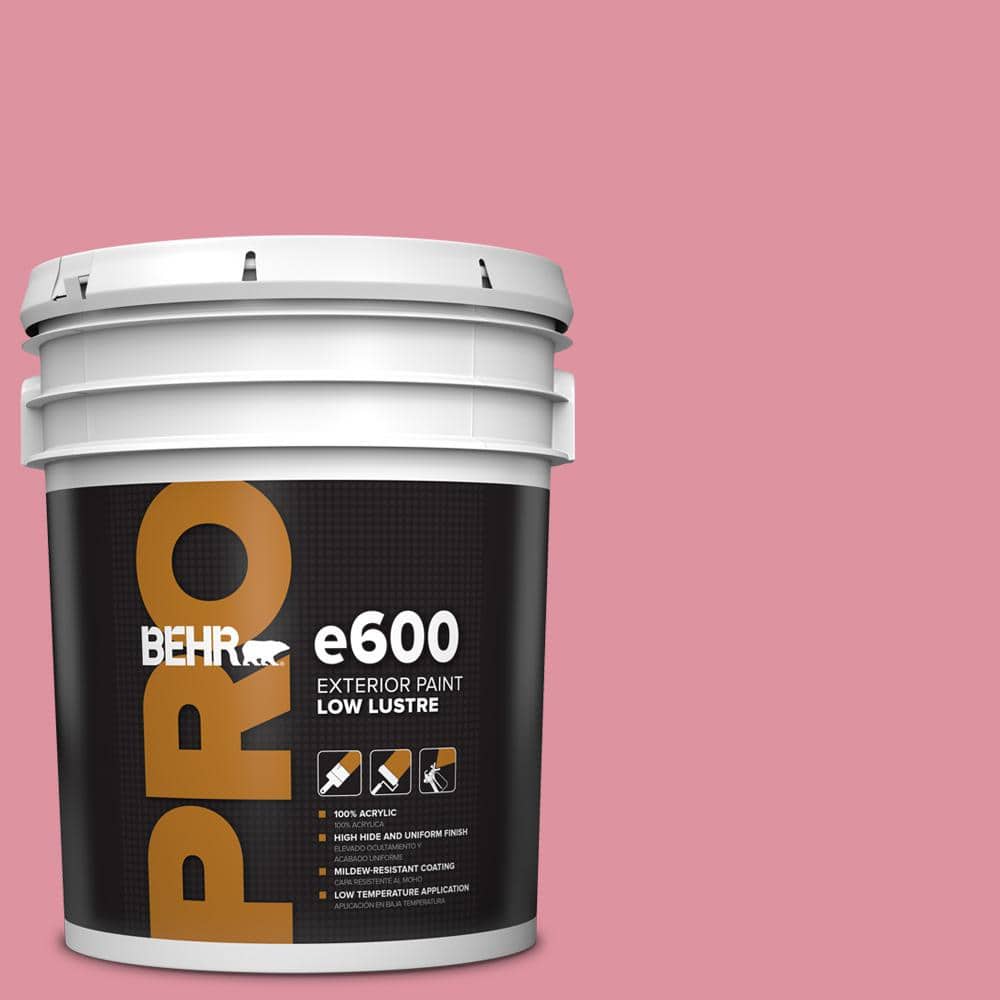 BEHR PRO 5 gal. #120C-3 Rose Marquis Low Luster Exterior Paint PR62005 ...
