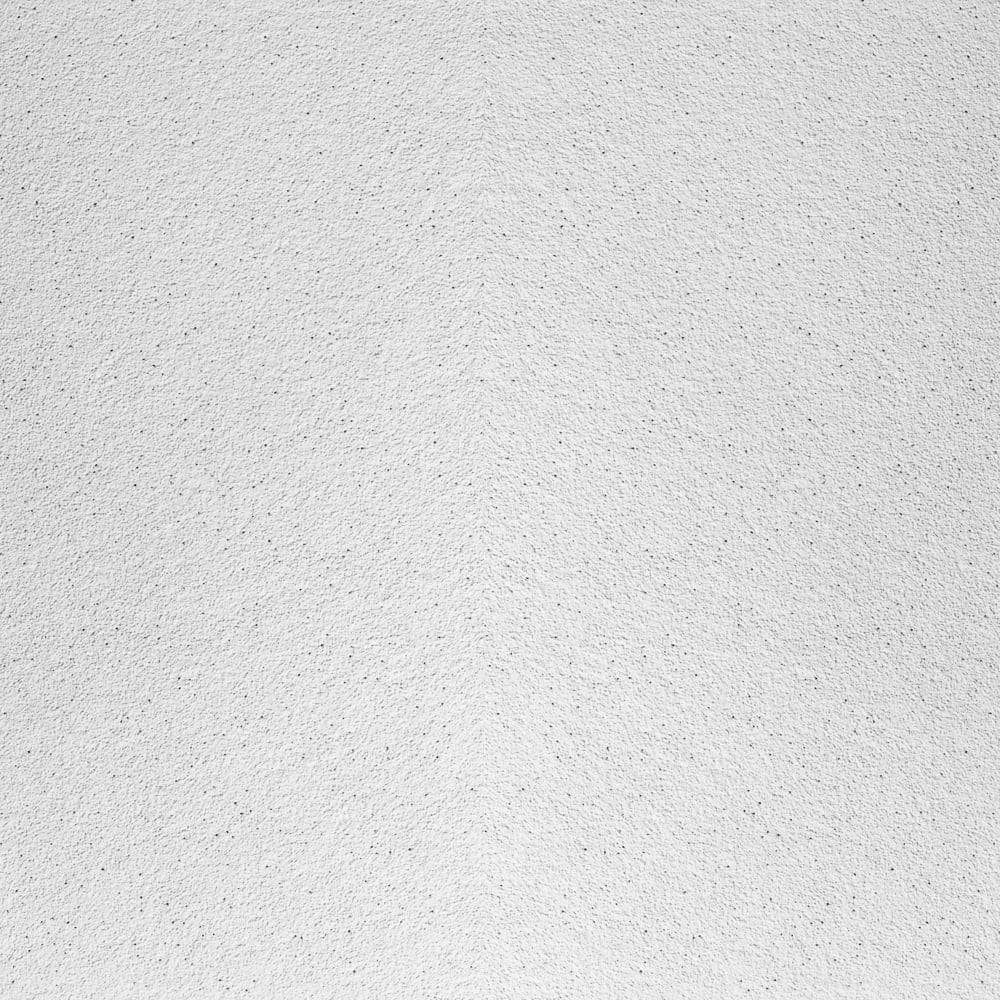 USG Ceilings 2 ft. x 2 ft. Olympia Micro White Square Edge Lay-In ...