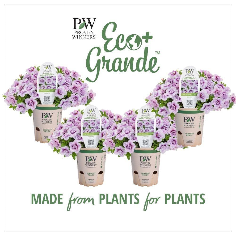 PROVEN WINNERS 4.25 in. Eco+Grande, Superbells Double Twilight ...